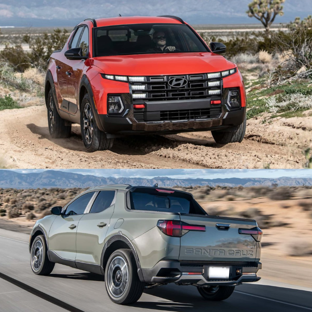 Santa Cruz Face Lift